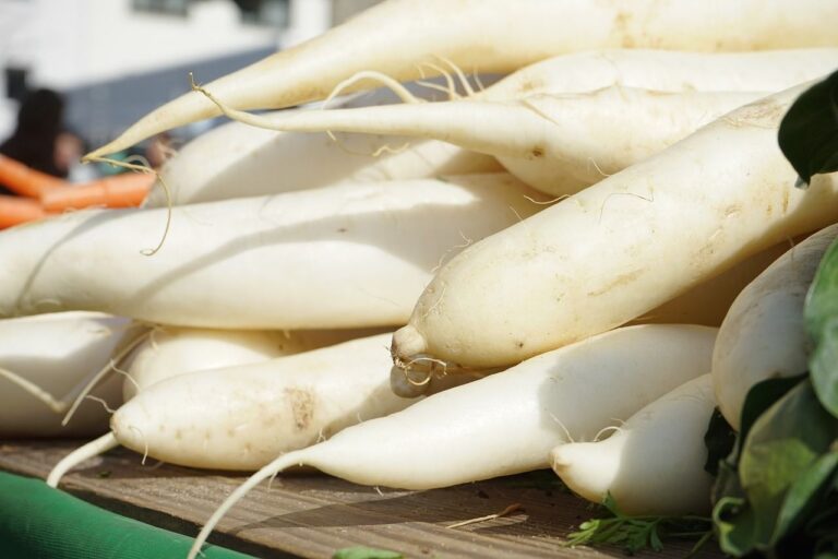 White Radish-Lobok (20KG) • Organic Store